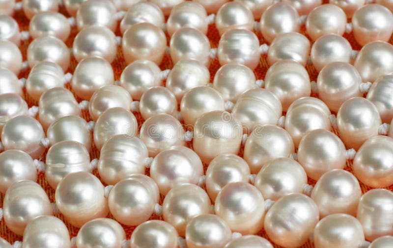Pearls background stock image. Image of love, luxury, females - 2330373