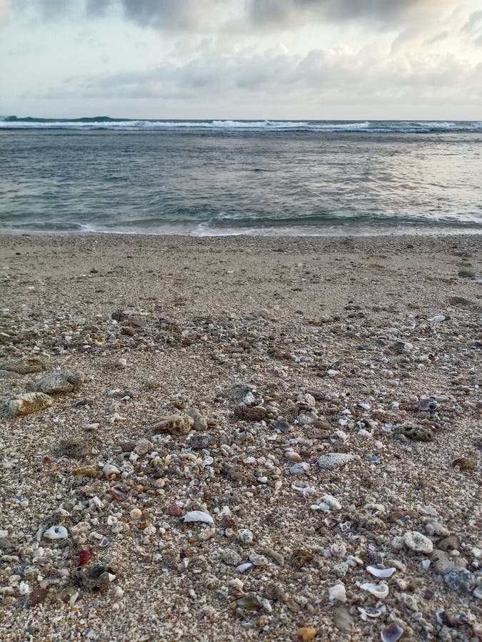 Pearls and Corals on the Sand on One of the Best Beaches in Java Stock ...