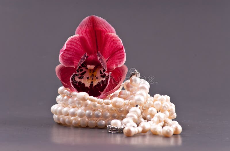 Pearls and Orchid Bud stock photo. Image of flower, holiday - 18177738