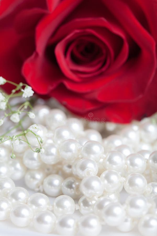 White Pearls and Red Rose stock photo. Image of baby - 37127324