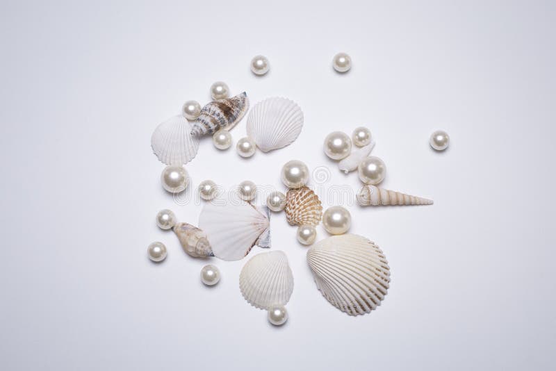 Sea Shells and Pearls on the White Background. Stock Image - Image of ...
