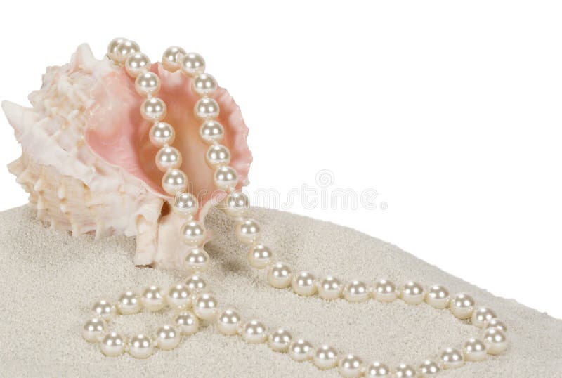 411 Seashell Jewelery Stock Photos - Free & Royalty-Free Stock Photos ...