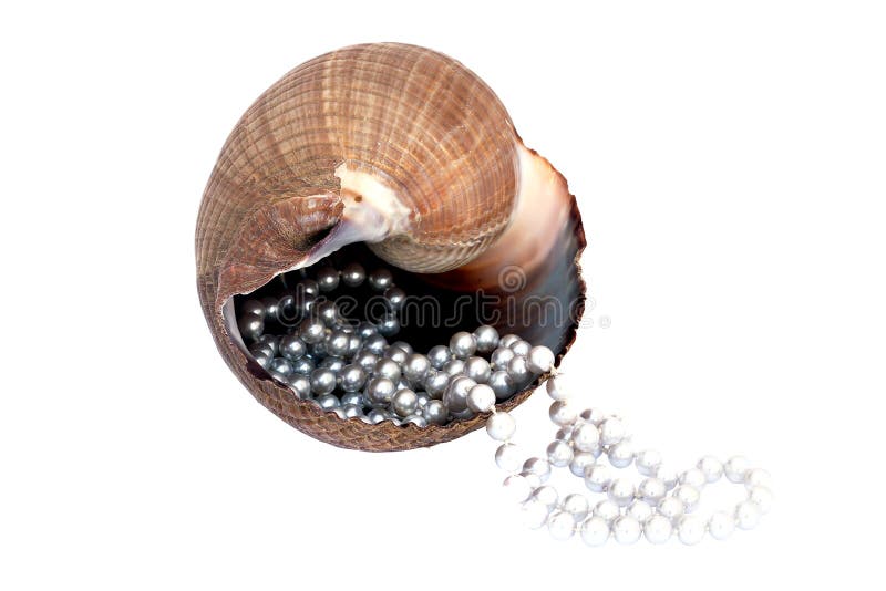 Shell and Pearls stock image. Image of white, pink, floor - 3814355