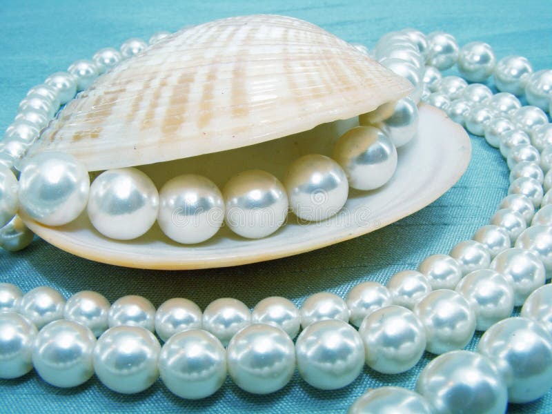 Pearls and shell stock image. Image of calcium, gift - 22948467