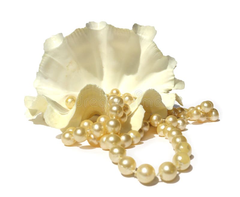 Pearly Necklace, Large Shells Coral Beads Stock Image - Image of nature ...