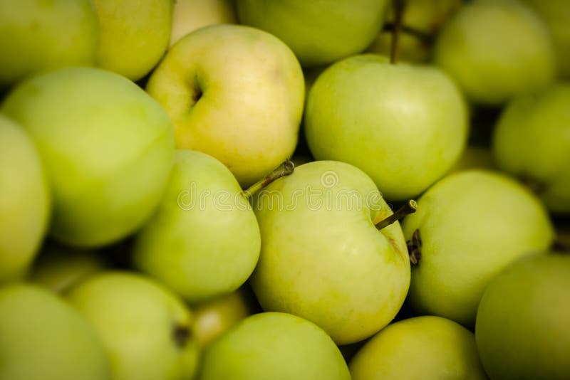 Pearmain apples stock photo. Image of closeup, food, nutrition - 43037828