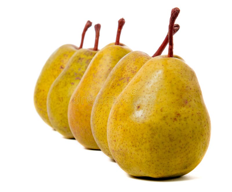 Four Ripe Pears Row Stock Photos - Free & Royalty-Free Stock Photos ...