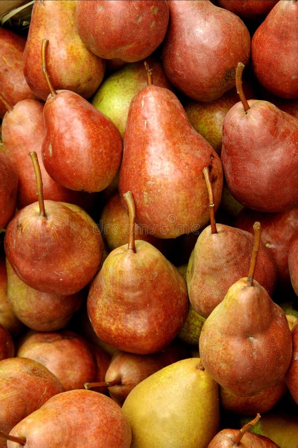 Pears stock image. Image of autumn, fresh, natural, pear - 1443625
