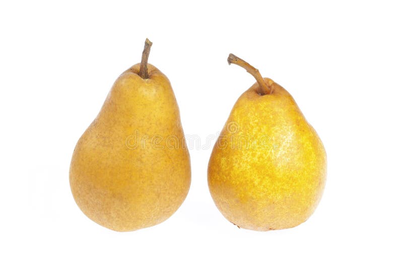 Pears stock image. Image of pear, isolated, small, summer - 21097843