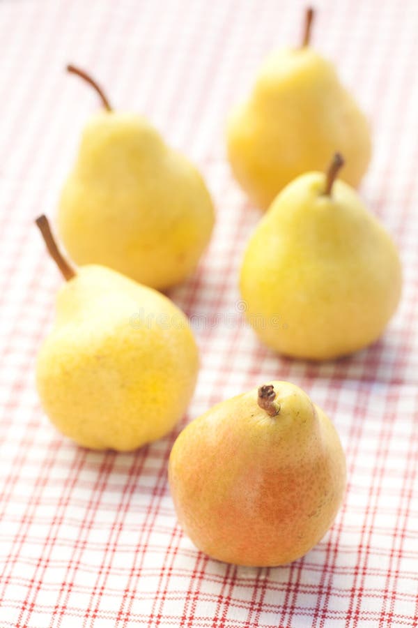 Pears stock image. Image of organic, color, circular - 25258599