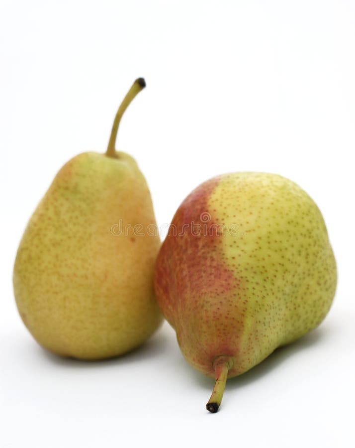 Pears stock photo. Image of pear, fruit, diet, pears, healthy - 5647784