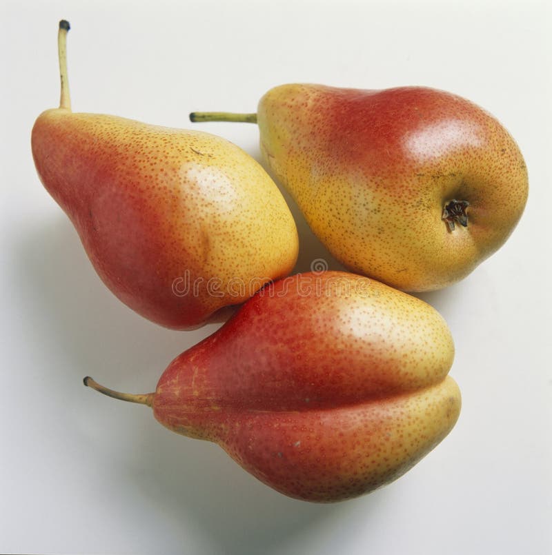 Pears stock image. Image of fresh, uncooked, close, 213199 - 7675335