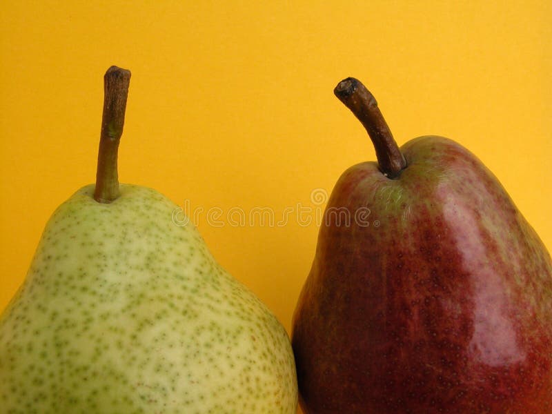Pears stock photo. Image of pears, arbor, fruits, pear, bulb - 87562