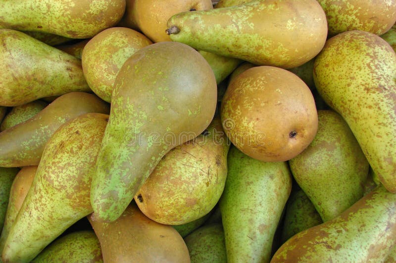 Pears stock image. Image of tasty, pears, food, snack - 9363465