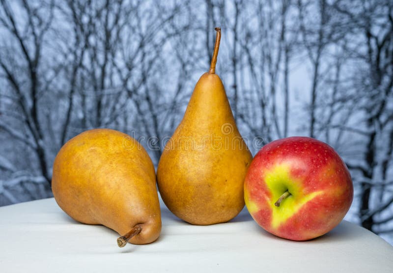 Pears and Apple with a Background of Snow-cowered Trees Stock Photo ...