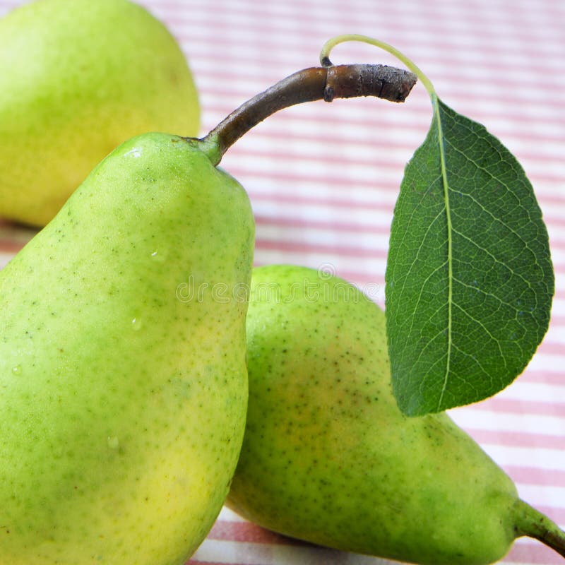 Pears stock photo. Image of product, natural, pear, meal - 32767450
