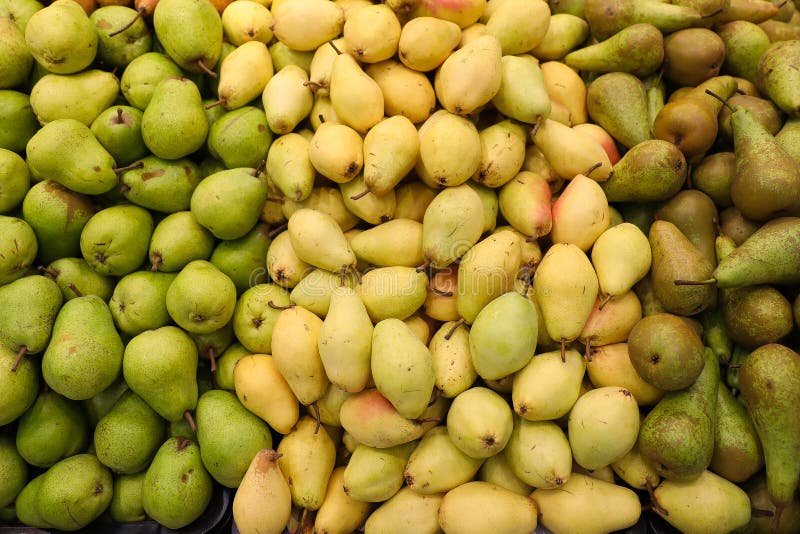 Pears of different colors stock photo. Image of fruits - 200606150