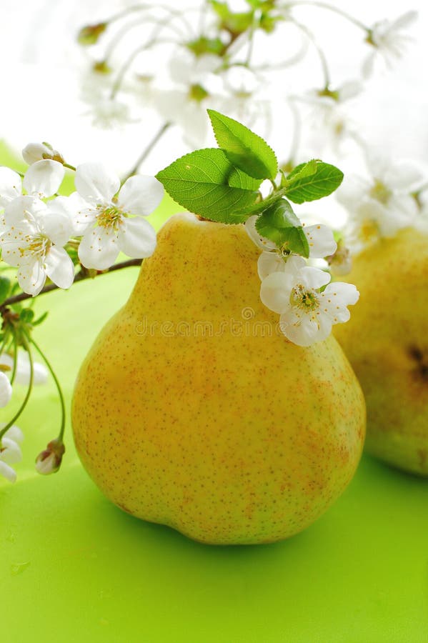 Pears and flowers stock photo. Image of nature, yellow - 18040706