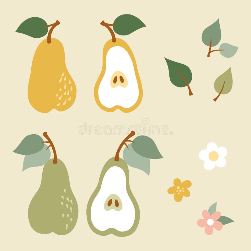 Pears, Flowers and Leaves. Set of Spring and Summer Elements in Flat ...