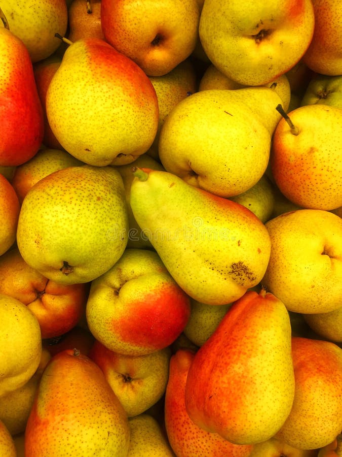 Pears fruits stock photo. Image of food, fruits, yellow - 200594732