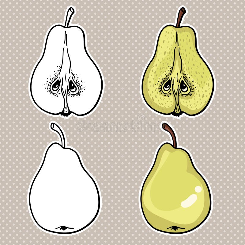 Pears. Graphic Stylized Drawing. Vector Illustration Stock Vector ...