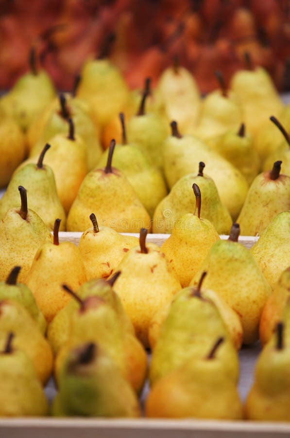 Pears stock photo. Image of food, produce, pears, nutrition - 42116948
