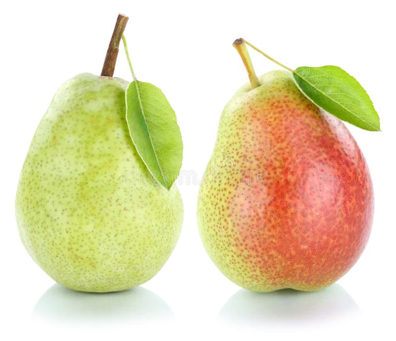 Pears Pear Fresh Fruit Isolated on White Stock Photo - Image of healthy ...