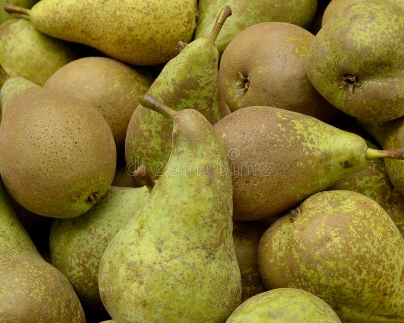 Pears stock photo. Image of conference, fiber, pears - 34232140