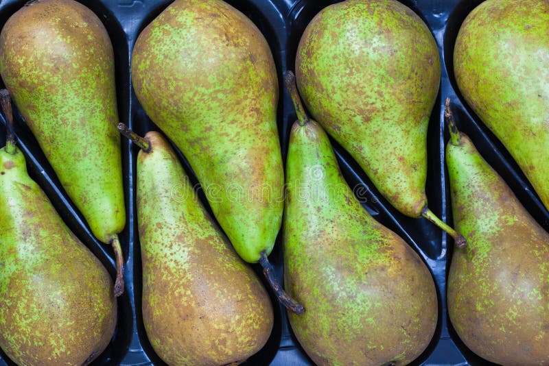 Pears in a row stock image. Image of conference, trays - 13395481
