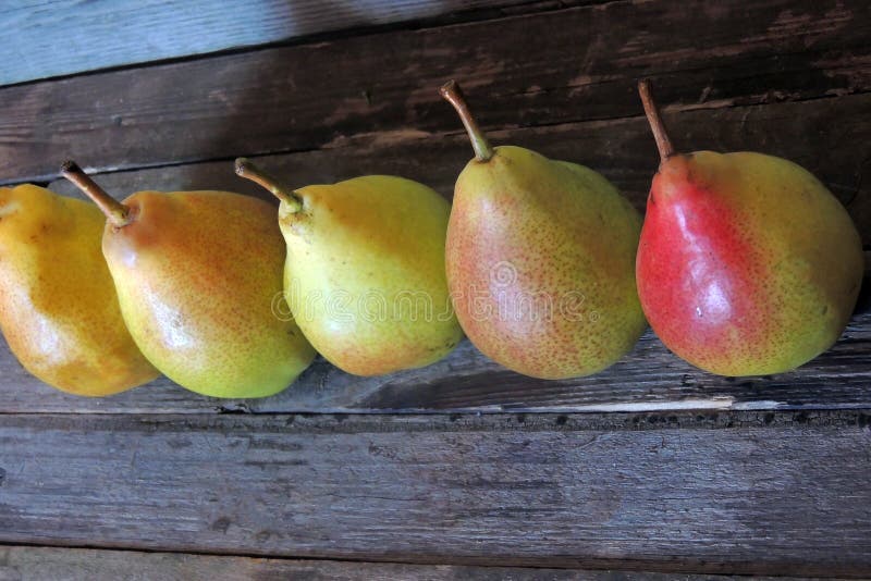 Pears stock image. Image of stem, healthy, pear, leaf - 58508073