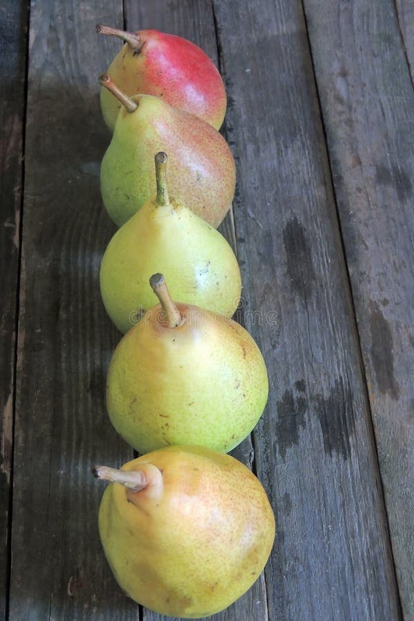 Pears stock image. Image of stem, geerntet, objects, clipping - 58508713