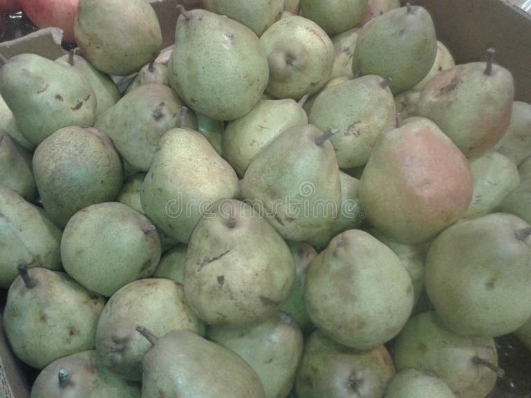 Pears stock image. Image of bunch, industry, agricultural - 48350667