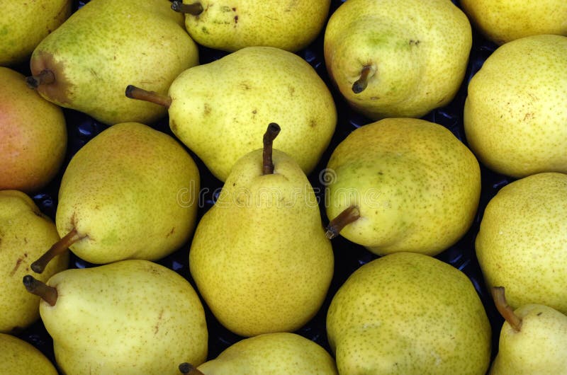 Close up of pears stock photo. Image of dessert, diet - 219785838
