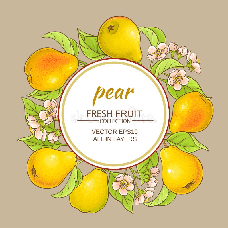 Pears vector frame stock vector. Illustration of organic - 99663561