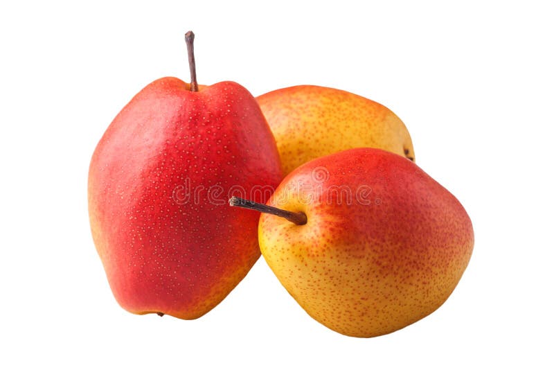 Pears stock image. Image of circle, vibrant, shiny, bright - 54067797