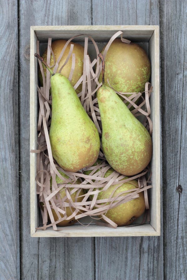 Pears. stock image. Image of fruit, organic, fresh, healthy - 47927257