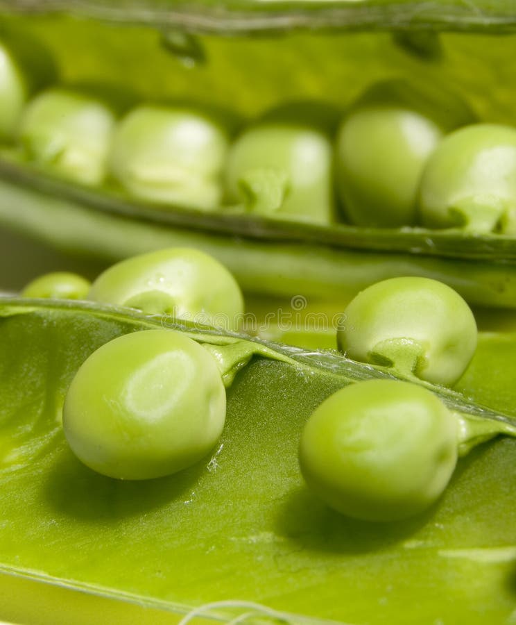 Peas stock image. Image of curve, organic, simplicity - 10013717