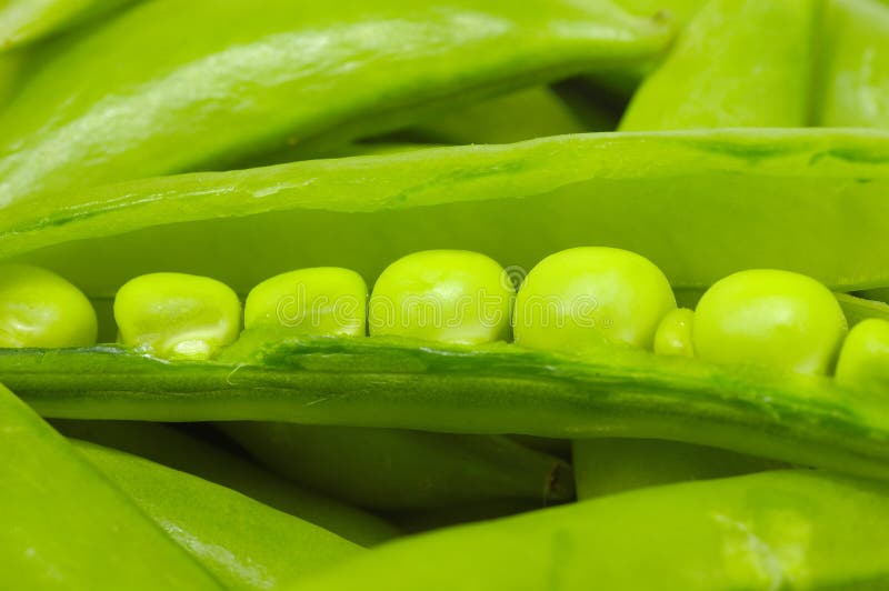 Peas stock image. Image of peapod, nutrition, nature, produce - 435695