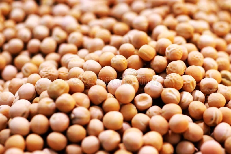 Peas stock image. Image of ingredient, leguminosae, crop - 14210261