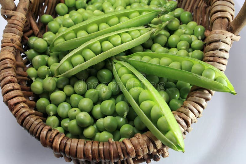 Peas stock image. Image of sugar, still, fresh, peas - 14752775