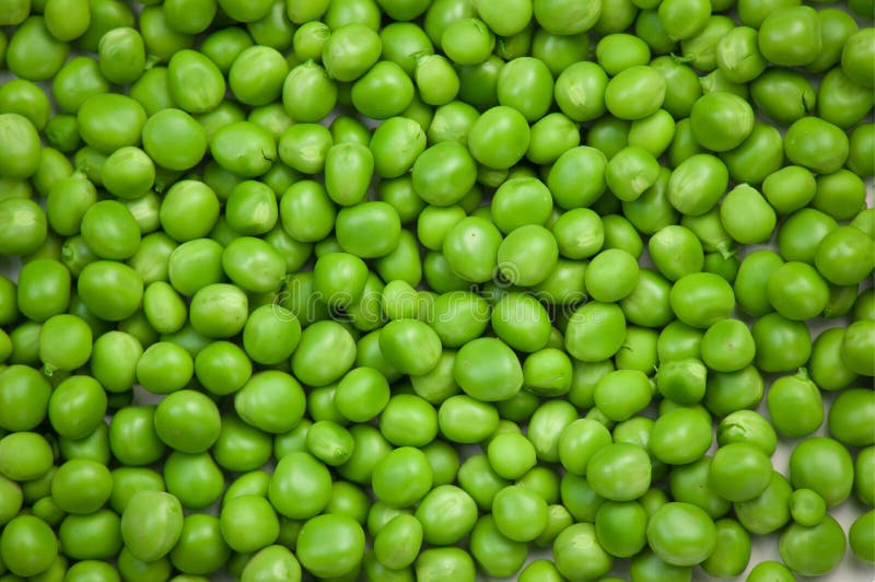 Peas stock photo. Image of arrangement, peas, spring - 14835046
