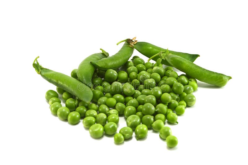 Peas stock photo. Image of nature, vegetable, growth - 15049170