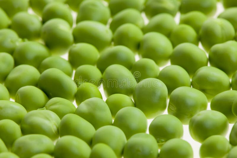 Peas stock photo. Image of abundant, green, close, natural - 151090678