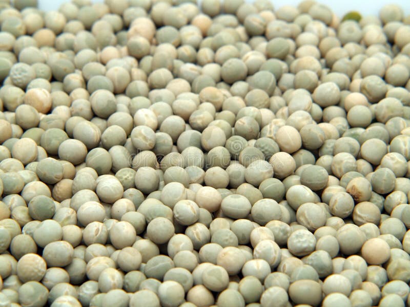 Peas stock photo. Image of object, peas, organic, crop - 16604436