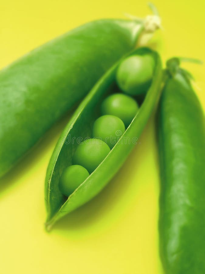 Peas 7 stock photo. Image of nutritious, fresh, blue, food - 249752