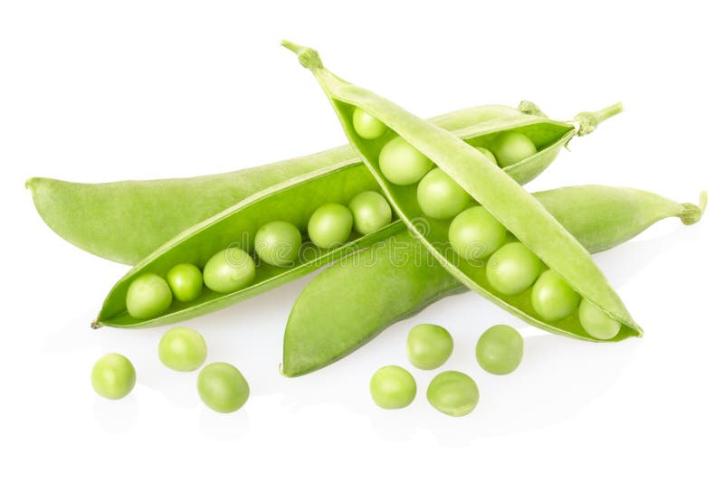 Pea Pod stock image. Image of sugar, snap, legume, healthy - 5556351
