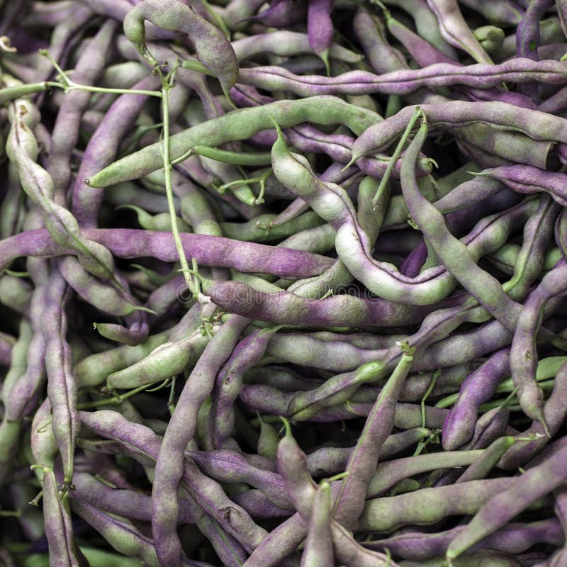 Peas stock photo. Image of agricultural, peas, vegetable - 26737062