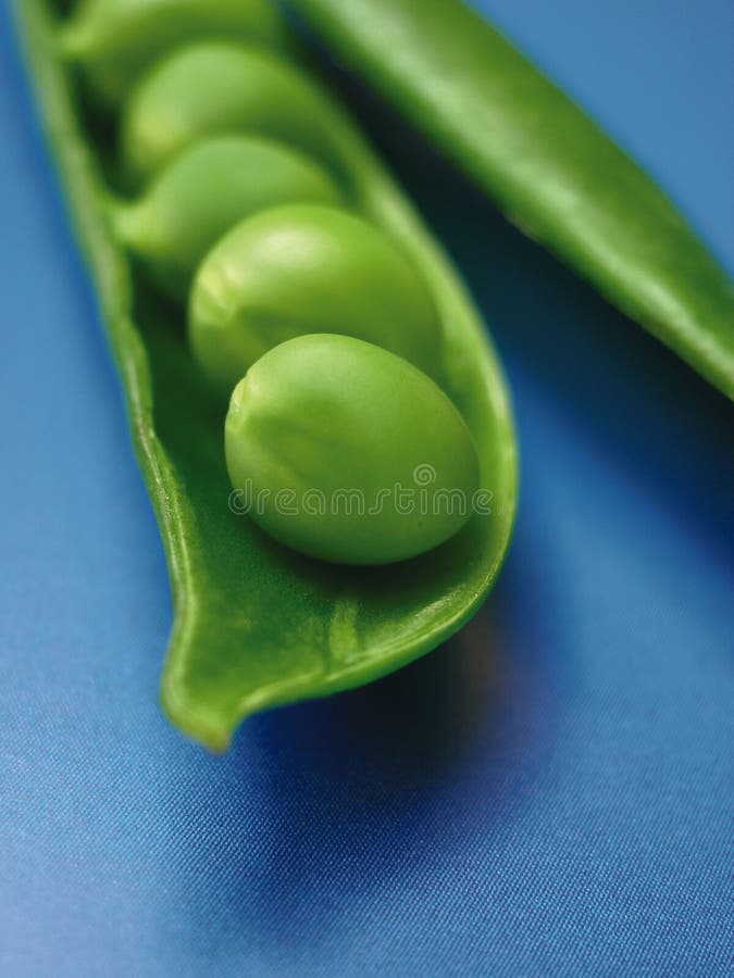 Peas 7 stock photo. Image of nutritious, fresh, blue, food - 249752