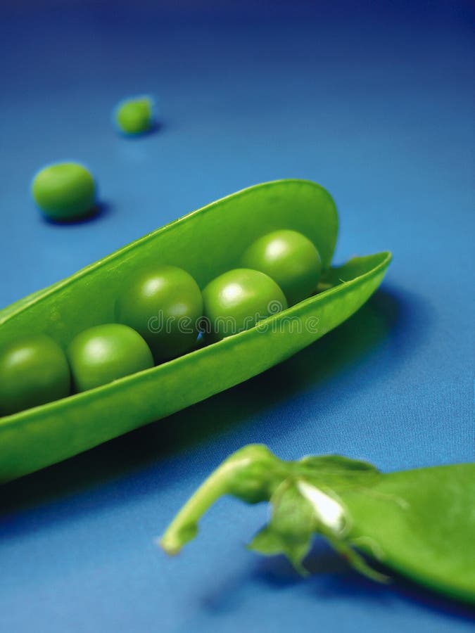 Peas 7 stock photo. Image of nutritious, fresh, blue, food - 249752