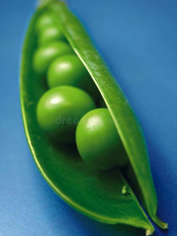 Peas 7 stock photo. Image of nutritious, fresh, blue, food - 249752